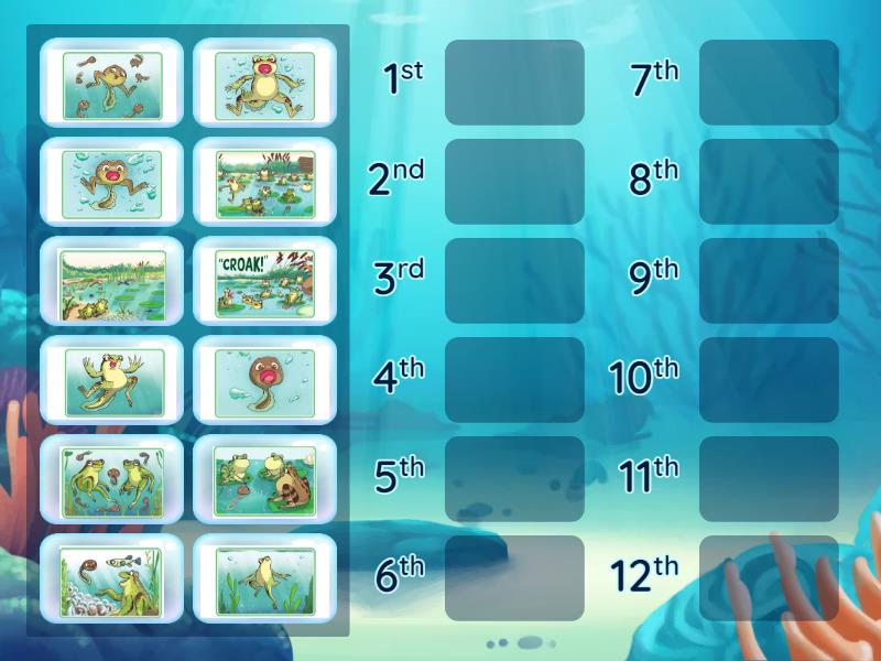 Perfect ribbit Story sequencing - Rank order