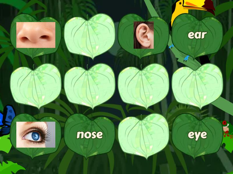 Face - Matching pairs