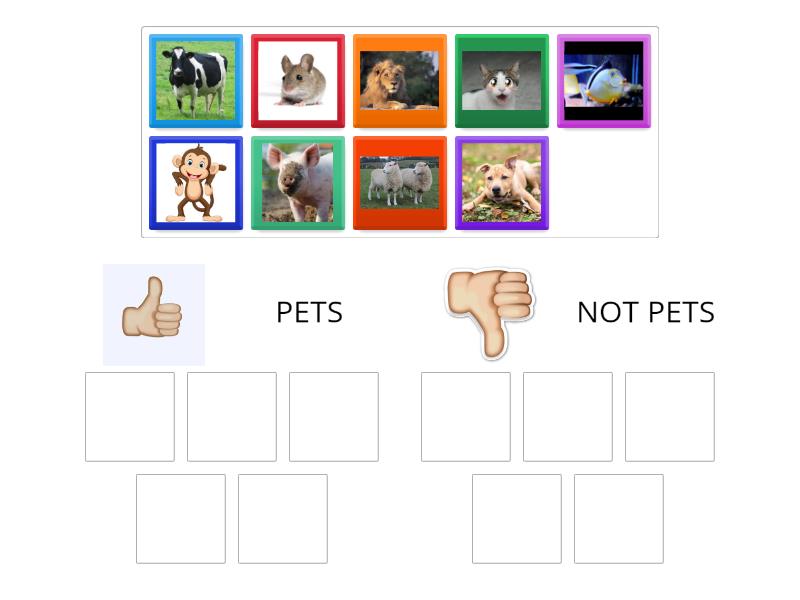 PETS - Group sort