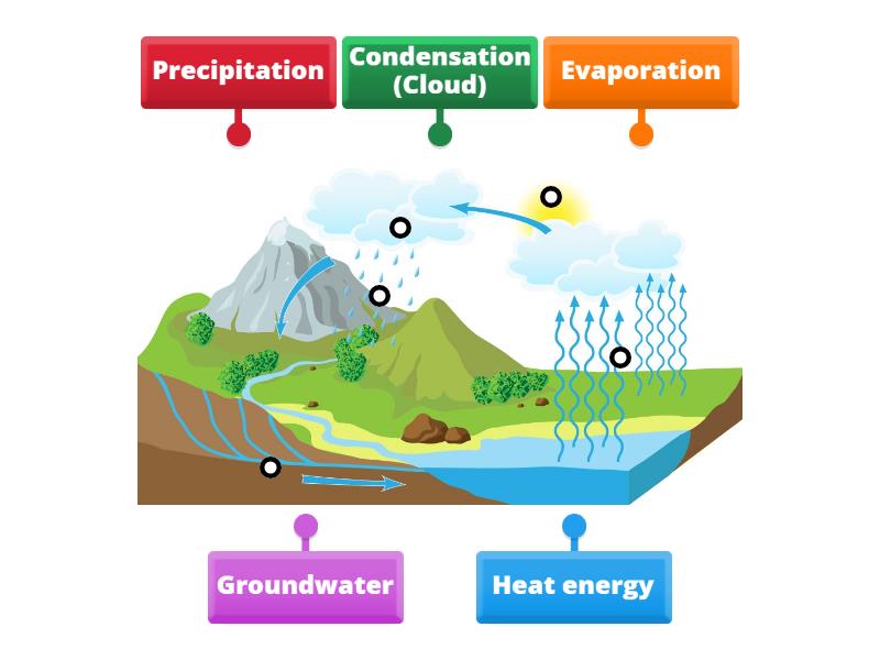 WATER CYCLE - Labelled diagram