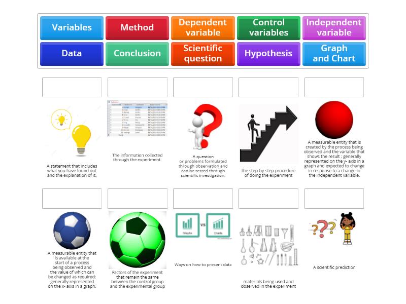 Scientific Investigation Vocabulary - Match up