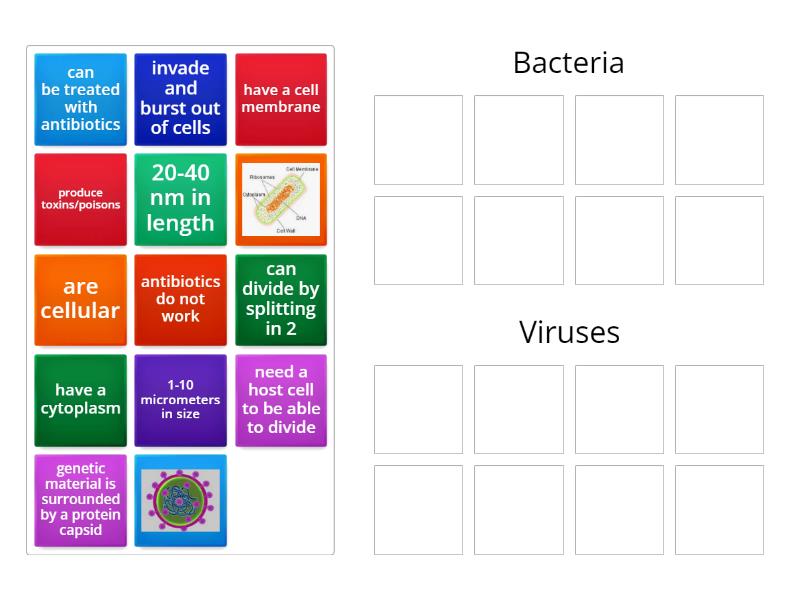Bacteria vs Viruses - Group sort