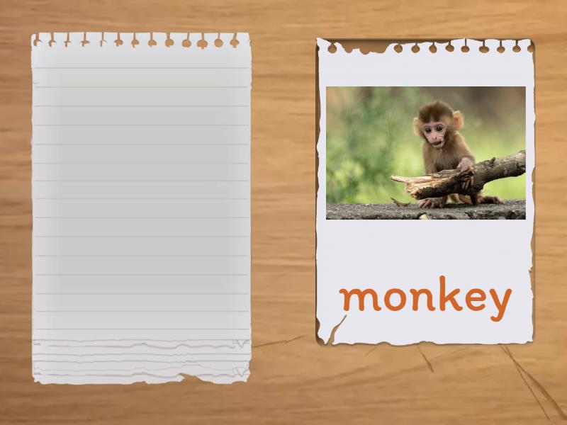 KB1 Unit 7 Wild Animals - Speaking cards