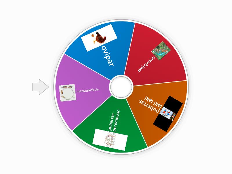 Soal ipa - Spin the wheel