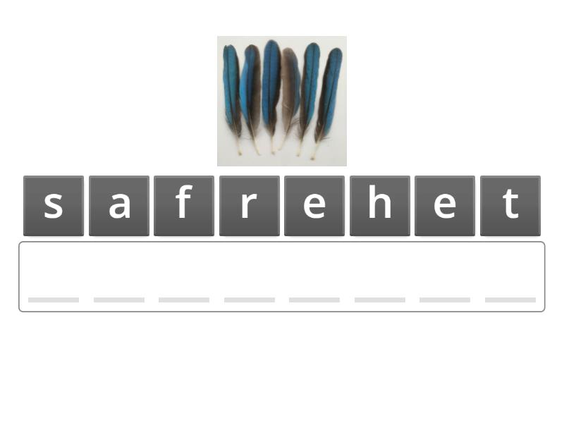 animal body parts - Anagram