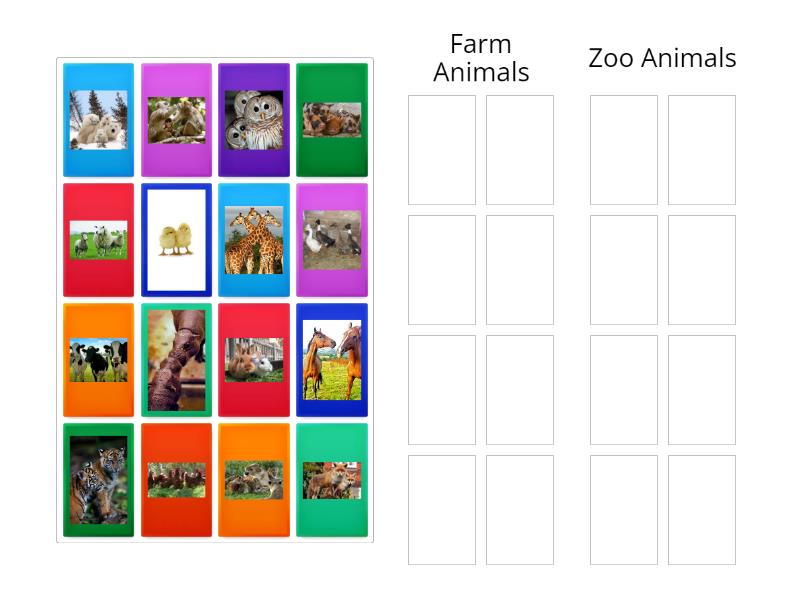 Magic Box 2 Unit 8 Farm Animals vs Zoo Animals - Group sort