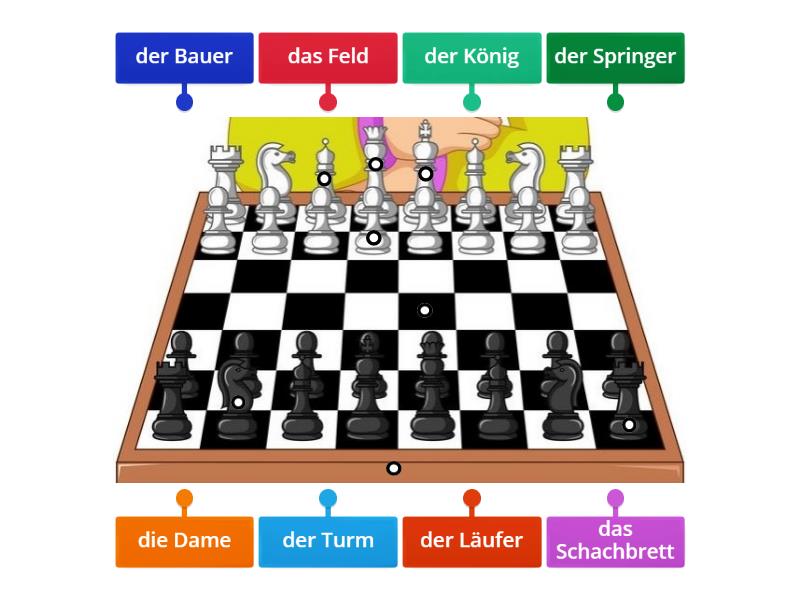 Schach - Labelled diagram