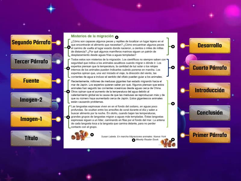 Estructura Texto informativo - Labelled diagram