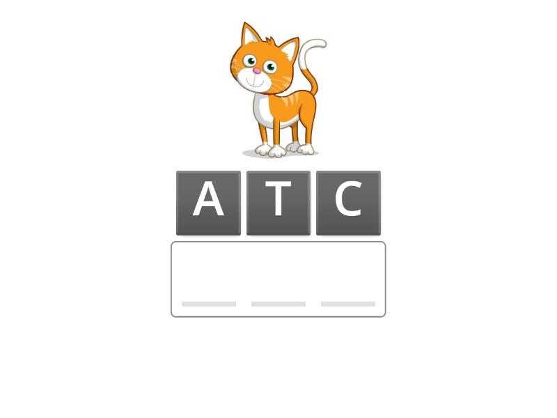 Vocabulary about Pets - Anagrama