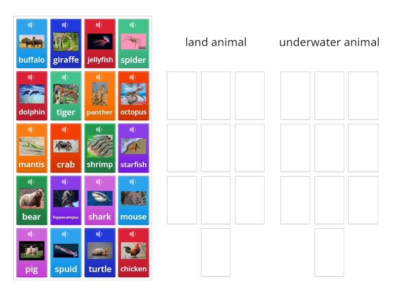 animal classification - Group sort