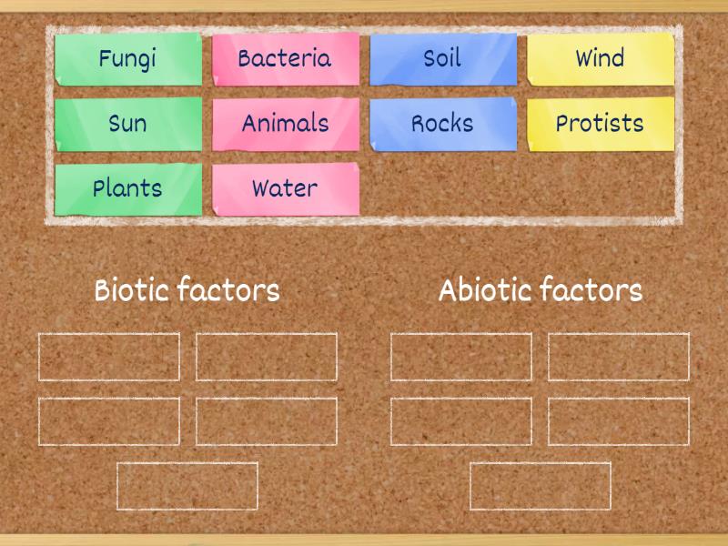 Review for biotic and abiotic factors - Group sort