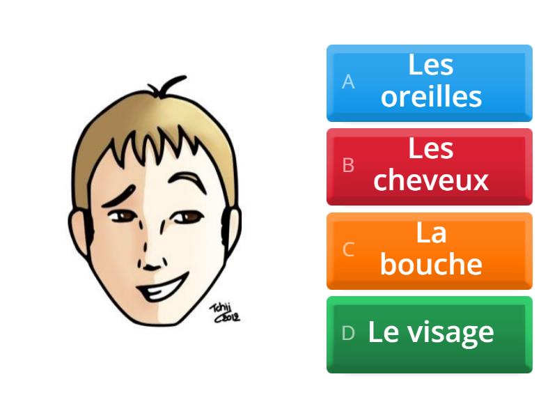 Les parties du visage - Quiz