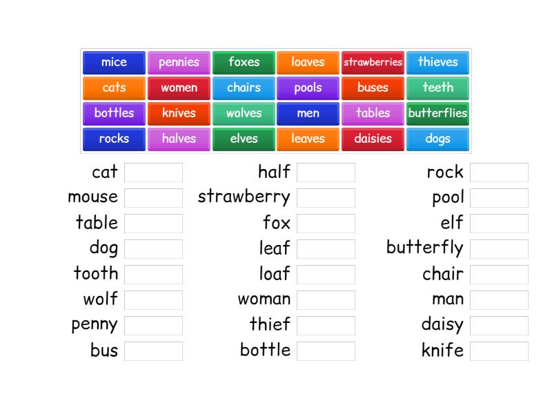singular plural nouns - Match up
