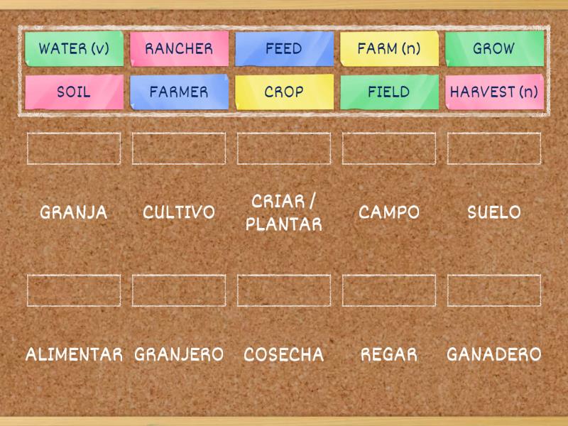 AGRICULTURE: Vocabulary - Match up