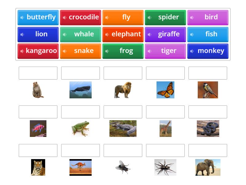Go Getter (1) 7.1_Wild animals - Match up