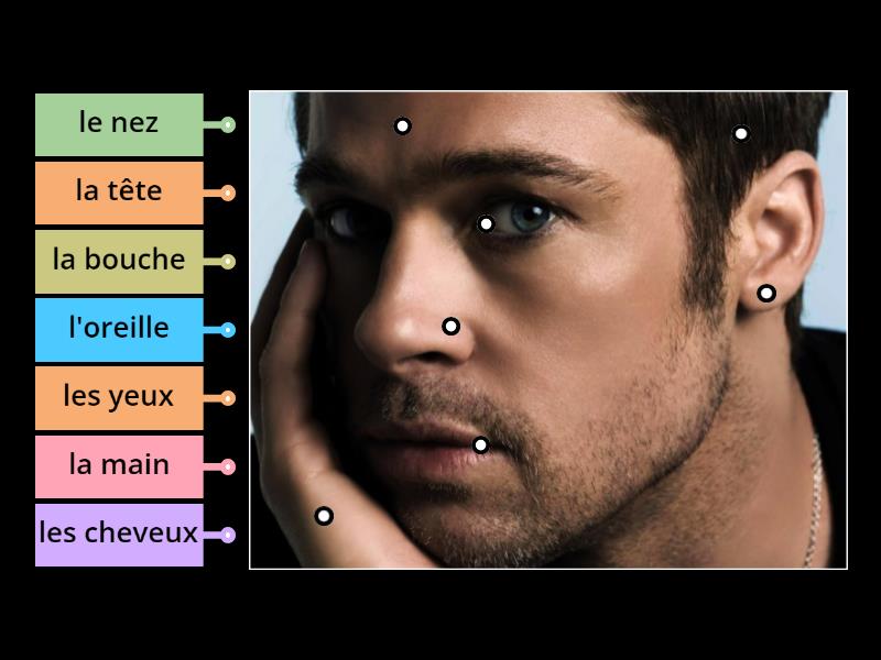 Le visage - Labelled diagram