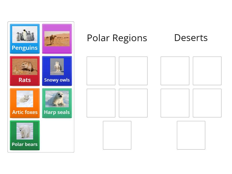4th grade animals and their habitats - Group sort