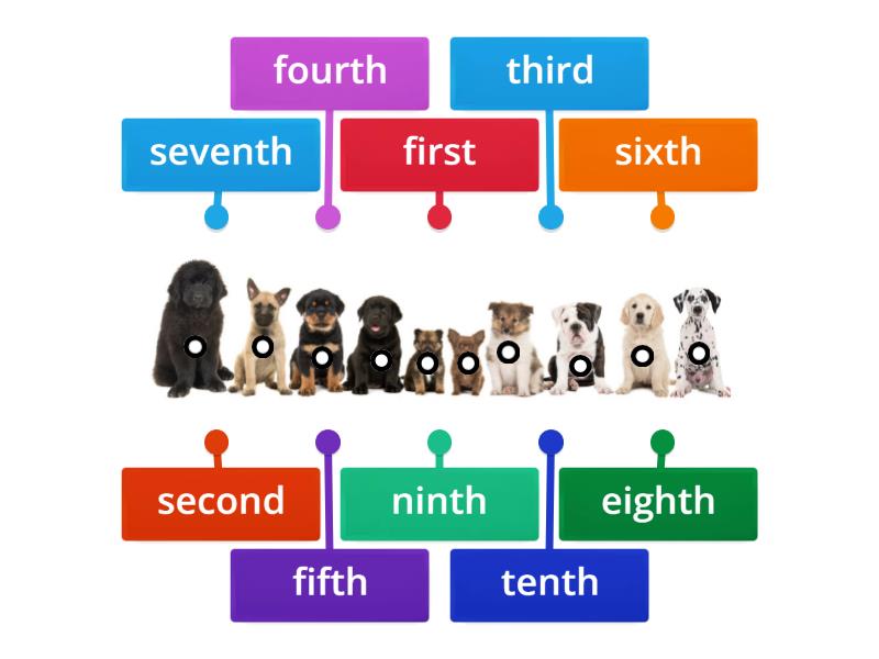 Ordinal Numbers 1st-10th - Labelled diagram