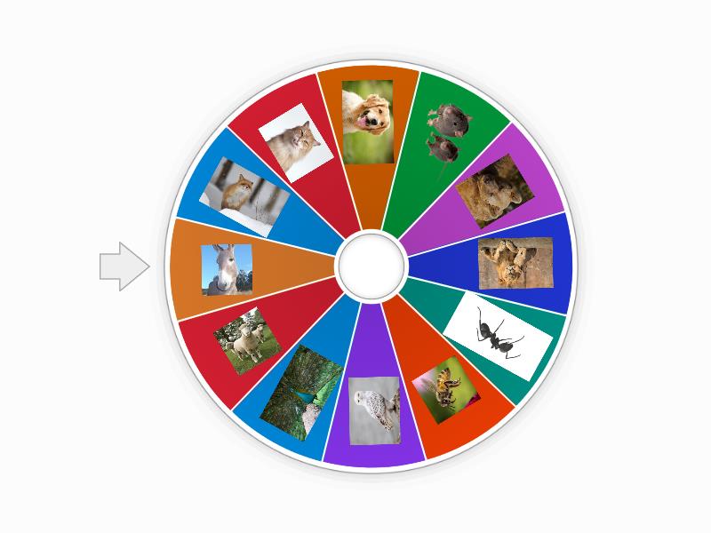 Animals - Spin the wheel