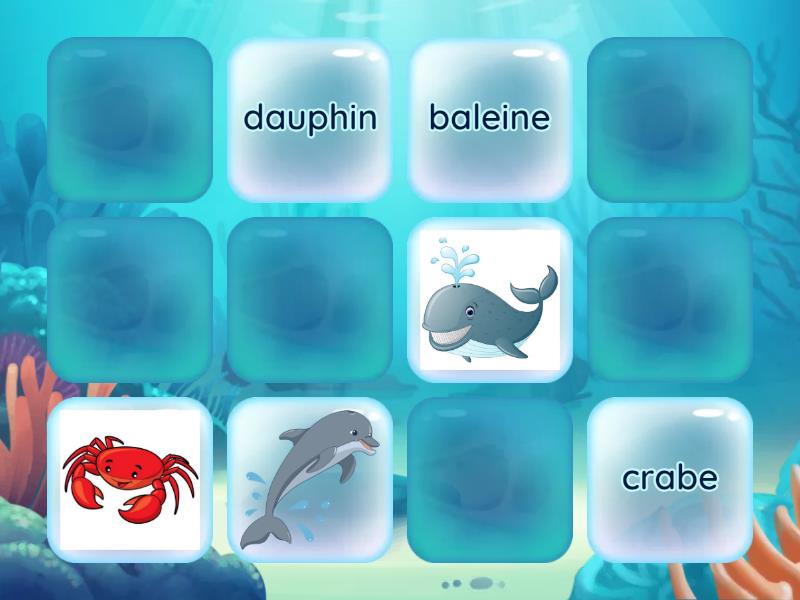 Animaux de la mer - Matching pairs