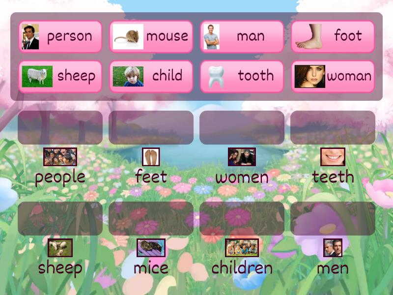 irregular plural of nouns - Match up