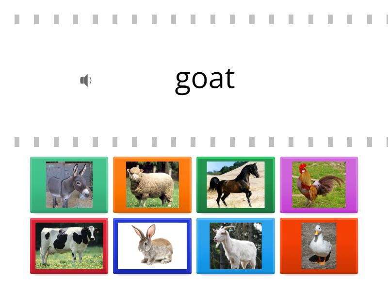 Academy stars starter farm animals - Find the match