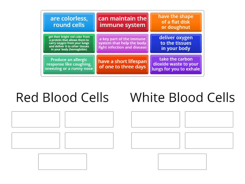 Red VS. White Blood Cells - การเรียงลำดับกลุ่ม