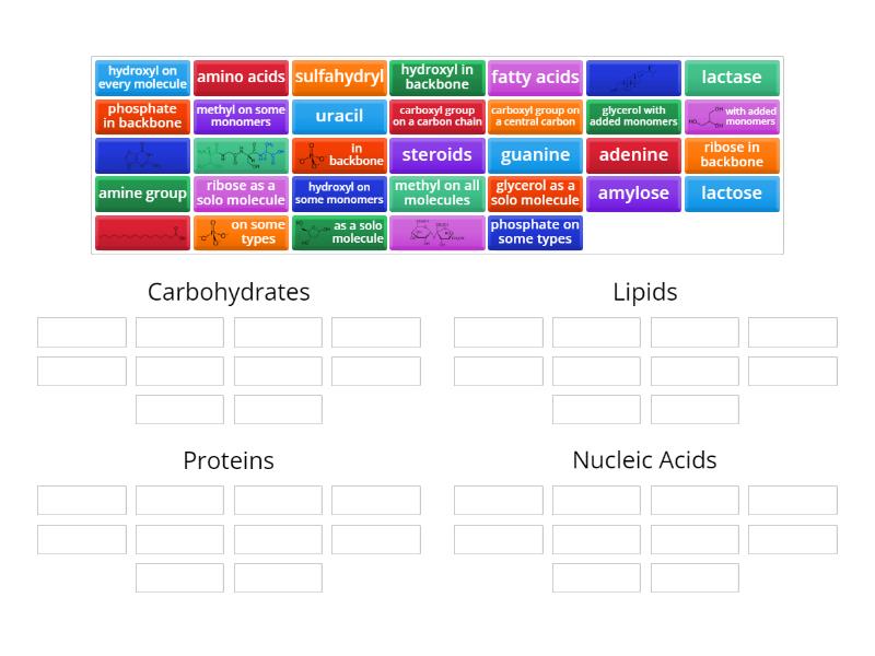 Macromolecules Matching - Group sort