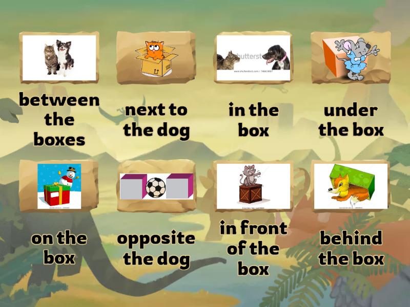 Spotlight 6 - Module 2b Prepositions of place - Match up