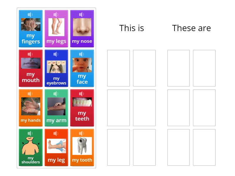 FF1.Unit 3- this is-these are - Group sort