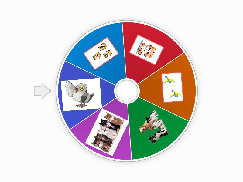 Spin wheel - ANIMALS - Spin the wheel