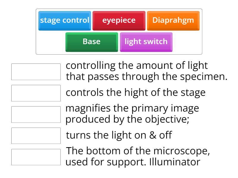 Microscope - Match up