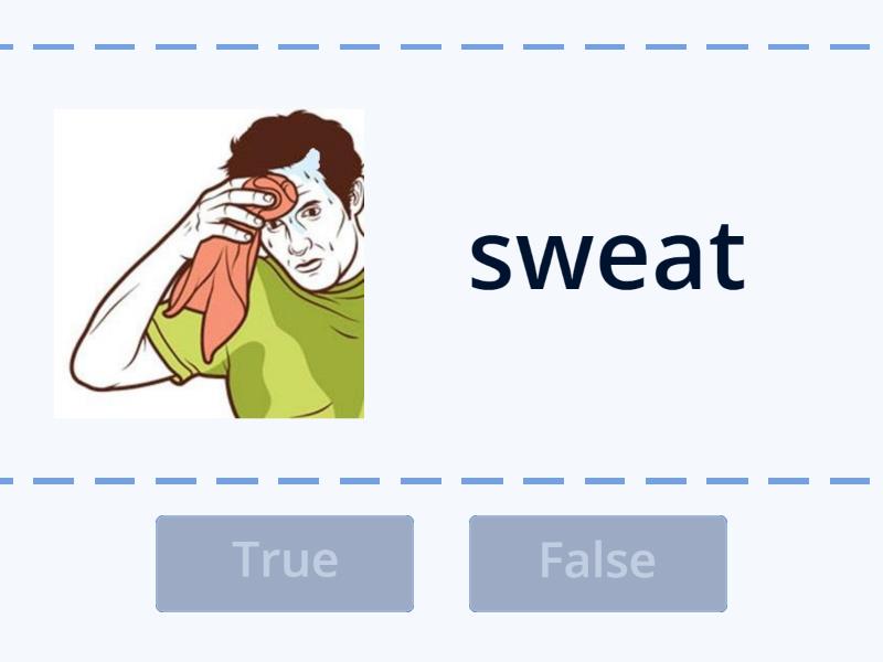 Vocabulary Key Words 2 Quiz 1 - Verdadero o falso