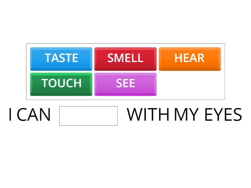 5 SENSES COMPLETE - Complete the sentence