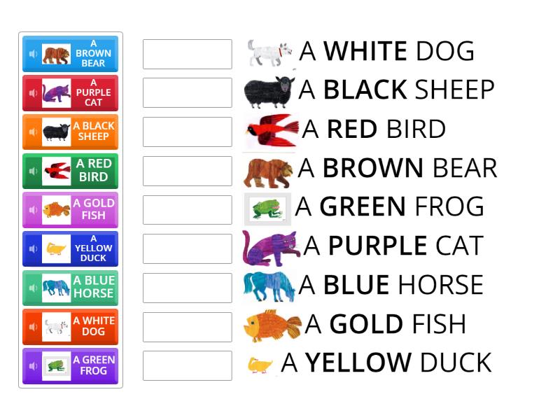 Brown Bear - Match up