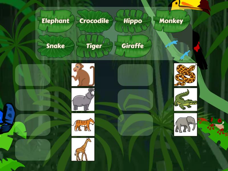 KB1 U7 wild animals match - Match up