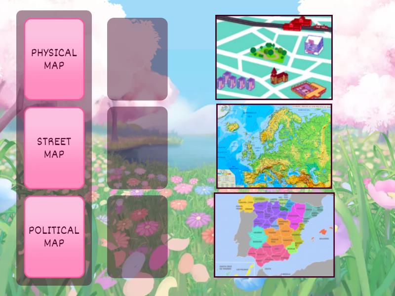 TYPES OF MAPS - Match up