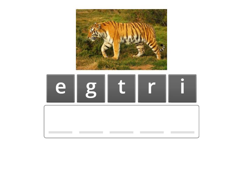 U1 - Animals - Anagram