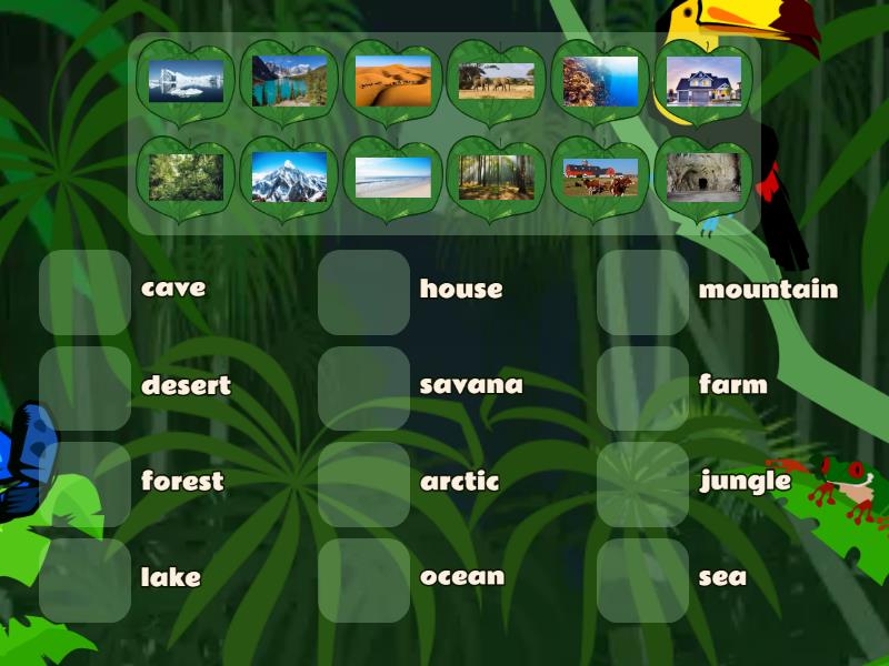 Animal habitat - Match up