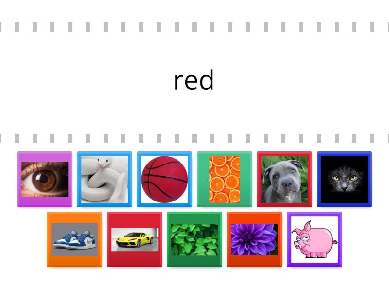 Colors - Find the match