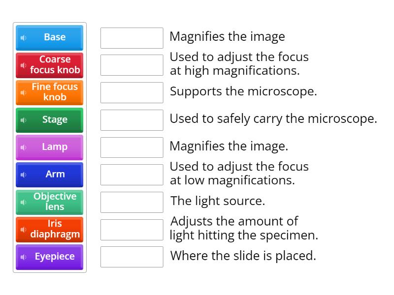 Parts of a Microscope - Match up