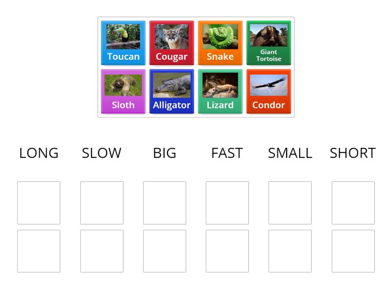 Animals and characteristics - Group sort