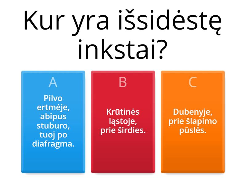 Inkstai ir šlapimo susidarymas - Quiz