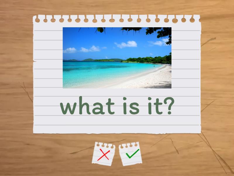 FF4 REVIEWER - Flash cards