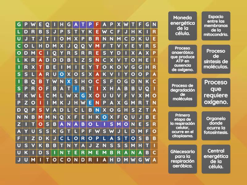 SOPA DE LETRAS BIOLOGIA - Mencari Kata