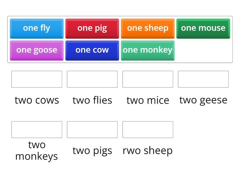 Animals plural - Match up