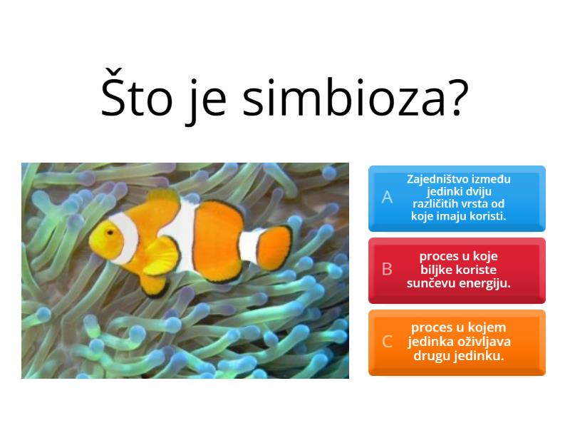 Simbioza - Quiz