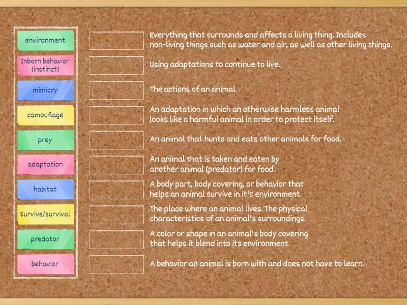Animal Adaptations Vocabulary - Match up