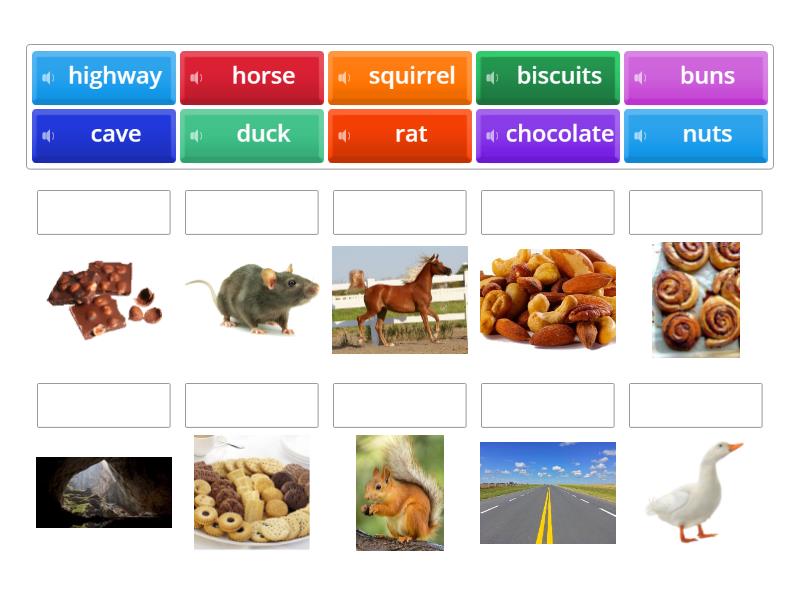 The Highway Rat_Matching_part1 - Match up