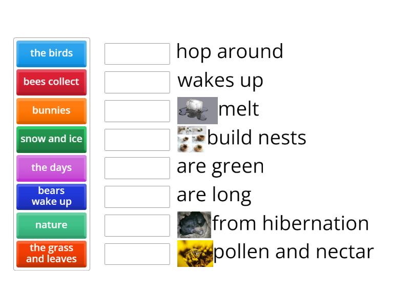 Spring Competition Matching activity P2/3 - Match up